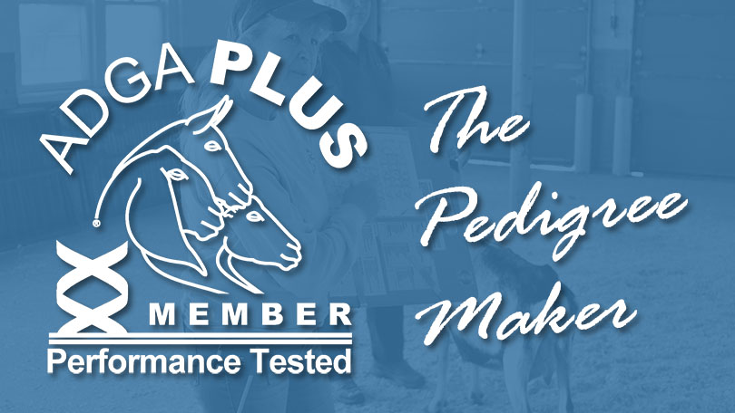 ADGA Plus Information - American Dairy Goat Association - ADGA