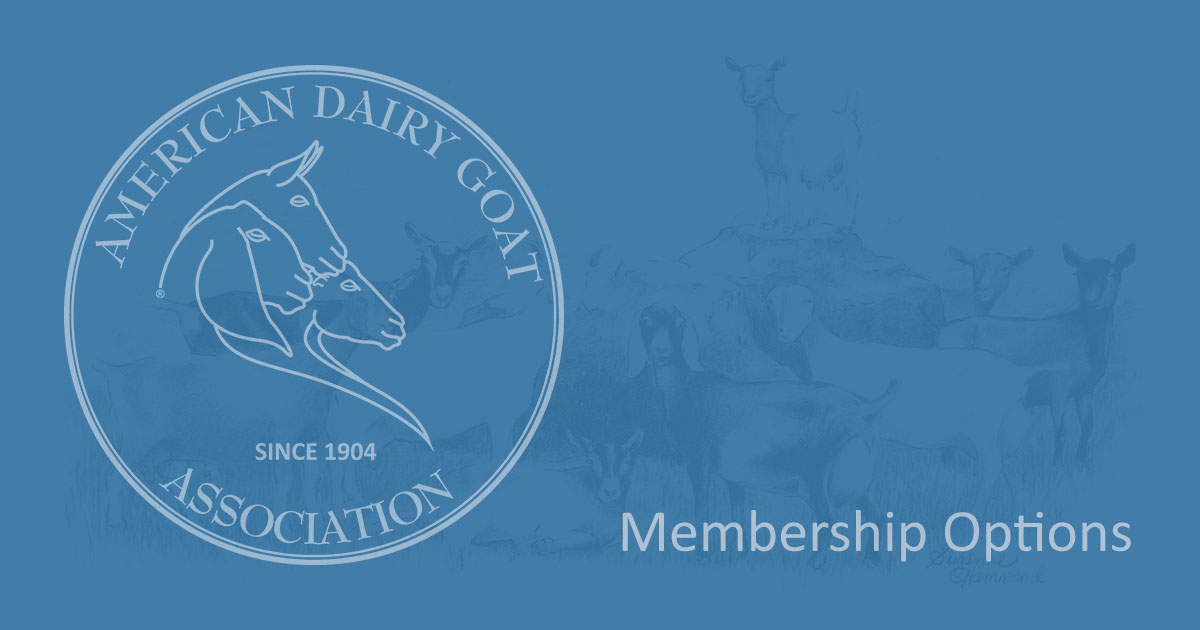 How To Choose An ADGA Membership - American Dairy Goat Association - ADGA